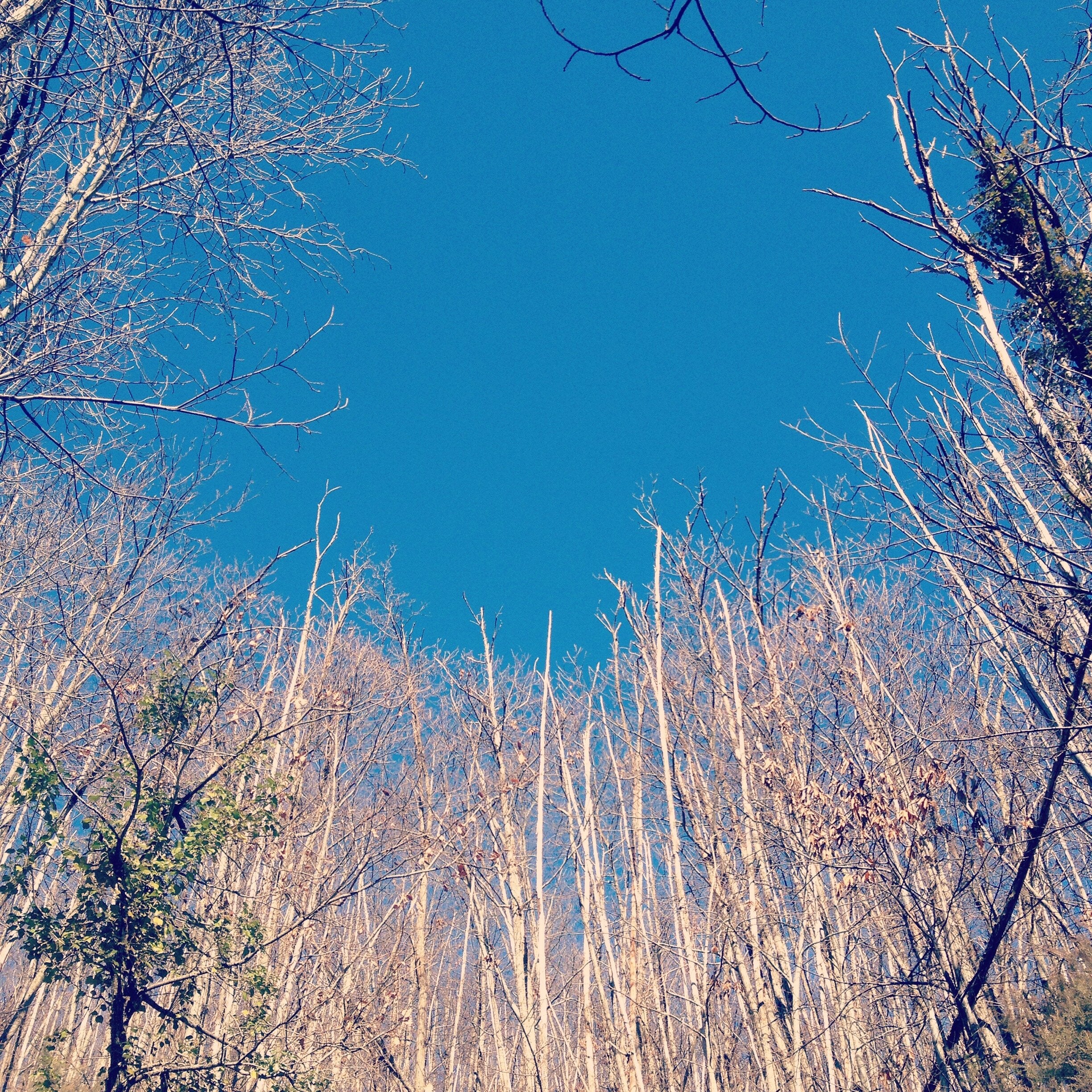 France – Jessica Rising Studio